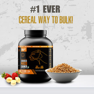 Anabolic Mass Gainer with Ultrasorb Tech (No Maltodextrin) Strawberry ...