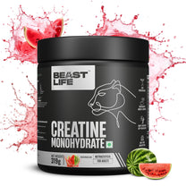 Watermelon Creatine Monohydrate 319g – Beastlife